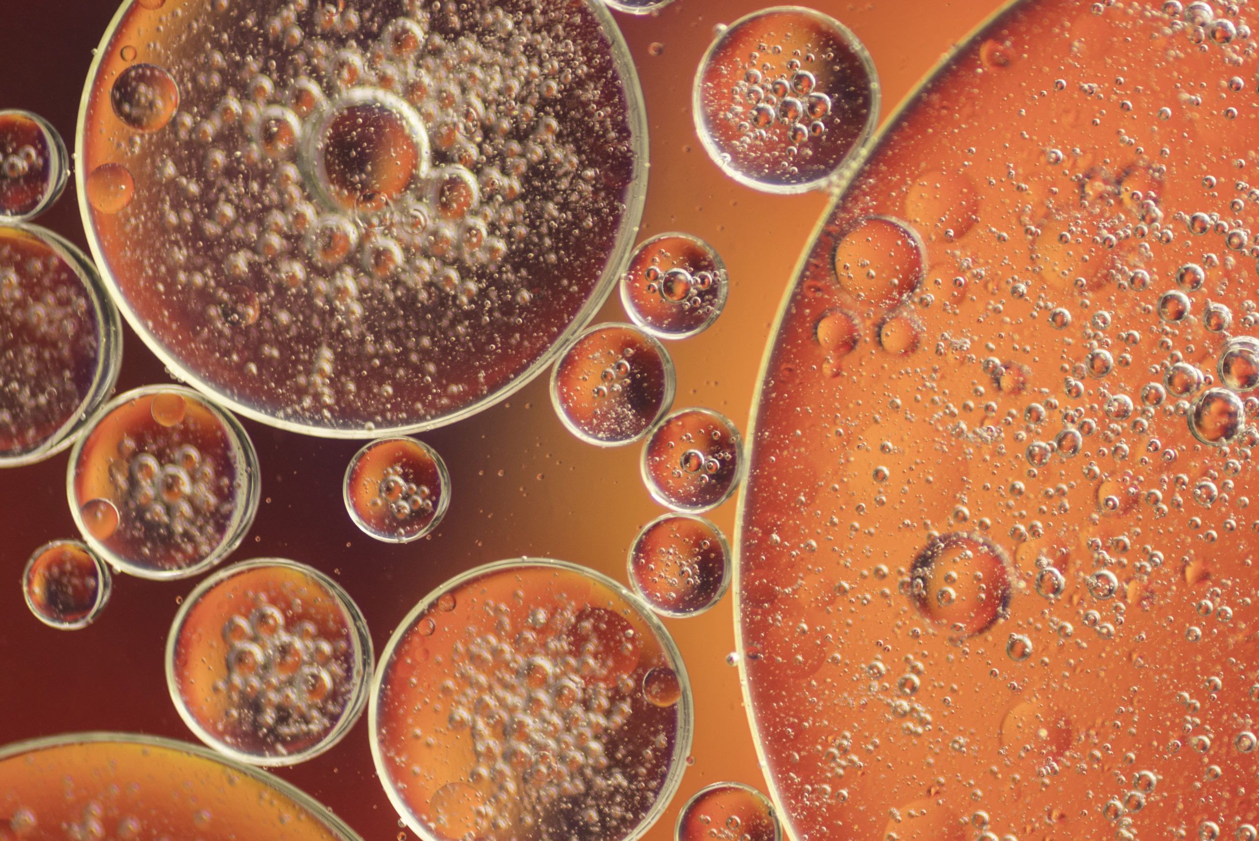 Bone Marrow Transplants: Unveiling the Miracle of Life - Falcon ...